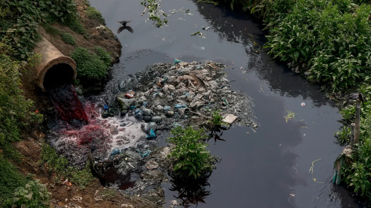 Not Ganges or Yamuna, this is world’s most polluted river, it is ...