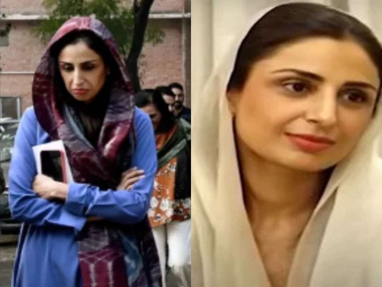 Meet PCB chief Mohsin Naqvi's wife Warda Ashraf, who comes from Punjab ...
