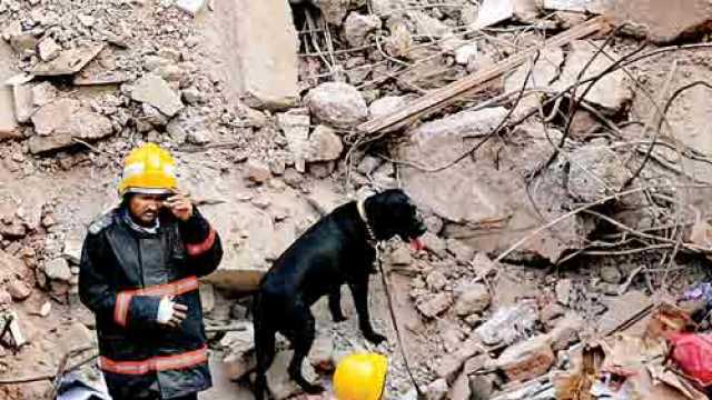 Mahim building collapse: Advocate Rizwan Merchant to use RTI to get ...