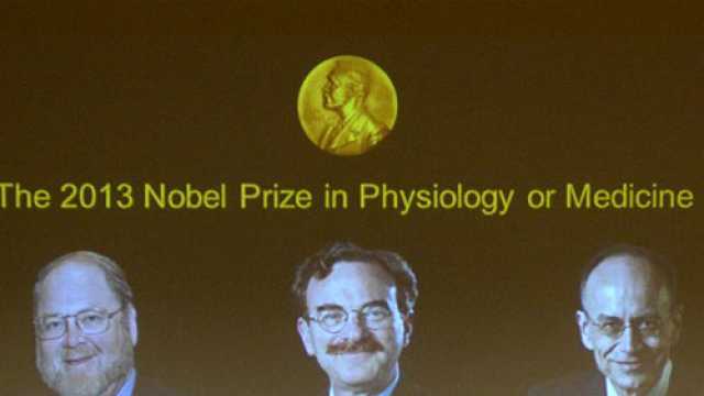 James Rothman, Randy Schekman and Thomas Sudhof win 2013 Nobel prize ...