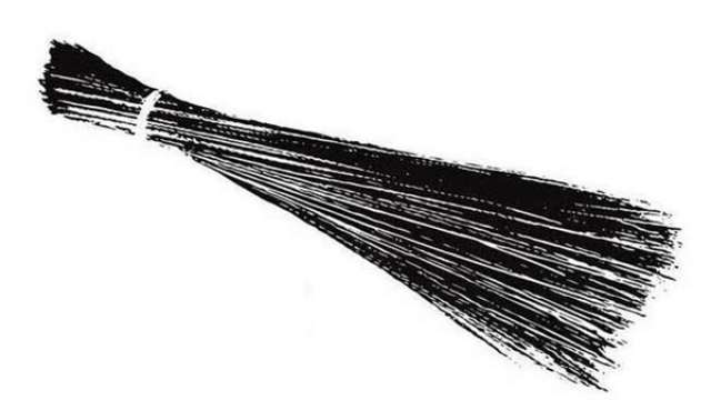 Lok Sabha Elections 2014: Know your party symbols!