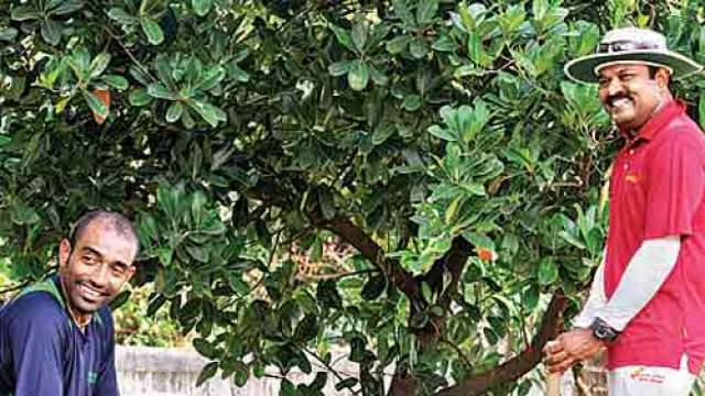 Cruelty case against Robin Uthappa's father and two others