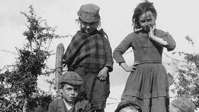 Graves of 800 dead babies prompt Irish to ask why so many babies died ...