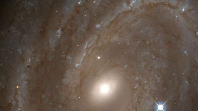 Hubble spots possible 'Zombie Star' that survived supernova explosion