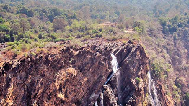 Goa NGO to challenge junking of Madhav Gadgil report on Western Ghats