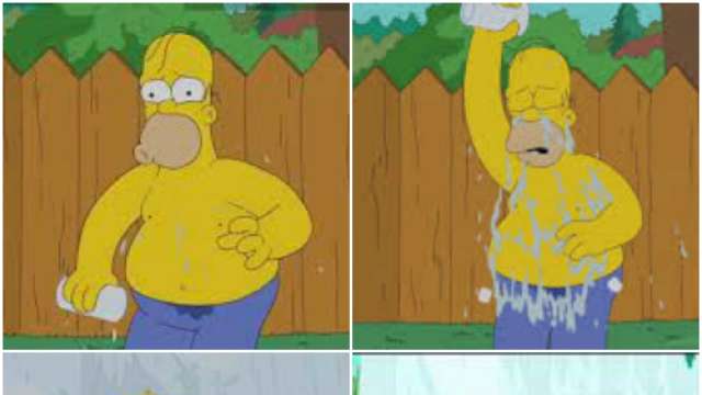 Homer Jay Simpson takes Ice Bucket Challenge