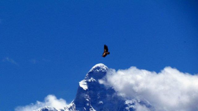 Pangot, where nature merges with the divine in Uttarakhand