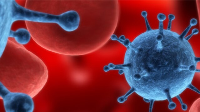 Maple syrup can help cut down antibiotics use