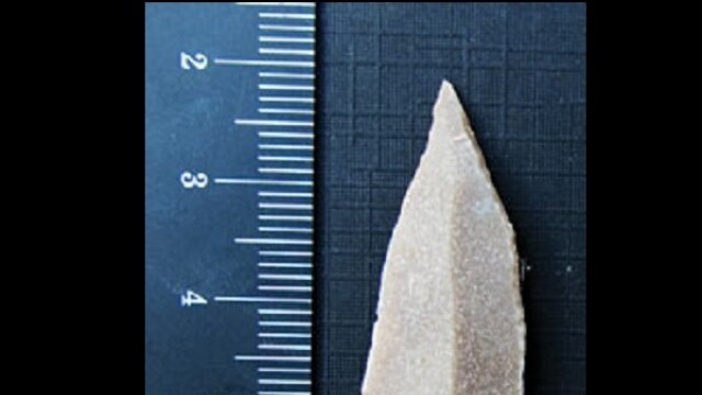 45000-year-old Jordan stone tools show earliest division of labour in ...