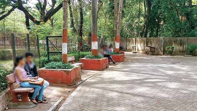 Byculla zoo a favourite spot for lovebirds