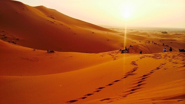 6,000 years ago, Sahara was a grassland: Study