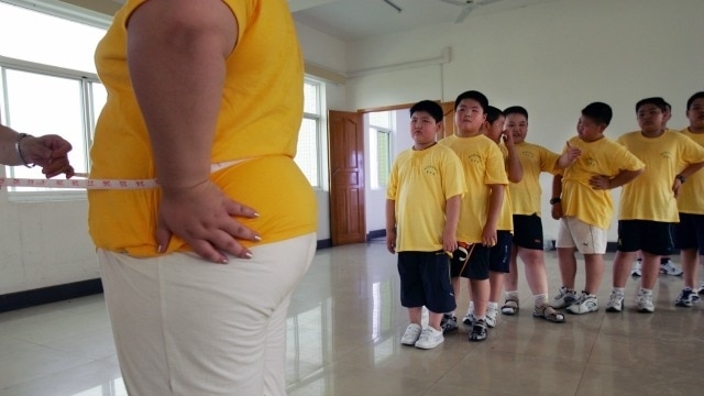 If your kid is too fat, then you may be a reason