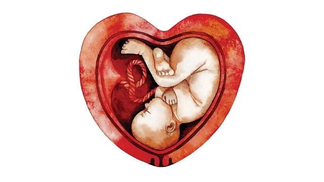 First womb transplant slated on May 18, Pune hospital readies for procedure