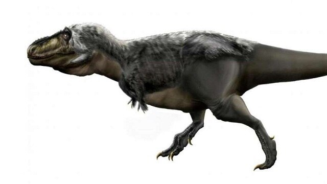 Secrets behind T rex's bone crushing bites unveiled