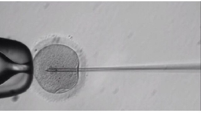 First genetically modified human embryos created in US