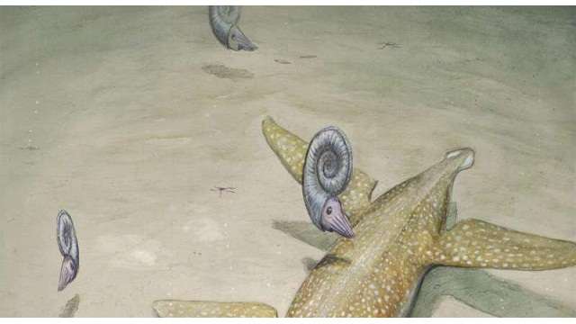 190 million-year-old 'sea monster' identified