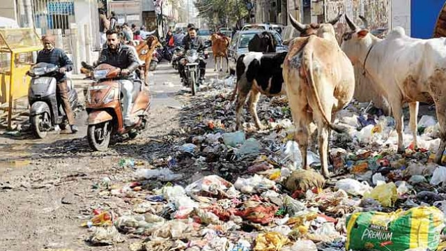 SC slams Delhi government over solid waste management issue