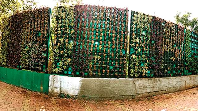 Biofence to protect Mumbai’s mangroves