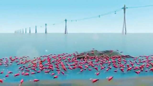 Mumbai Port Trust explores cargo movement between Sewri and Elephanta ...