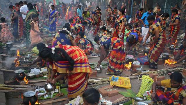 Pongal celebrated in Tamil Nadu & Puducherry with traditional fervour