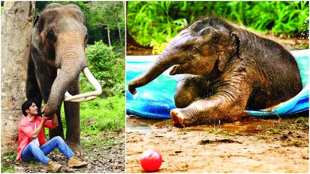 Vidyut Jammwal's 'Junglee': Finally here’s a film for kids!