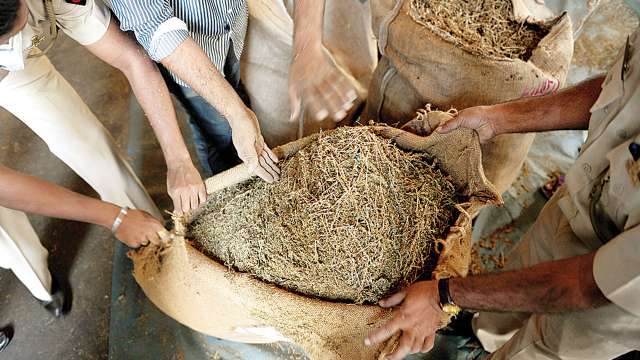 Gujarat: Two held with ganja worth Rs 1.02 lakh in Vatva