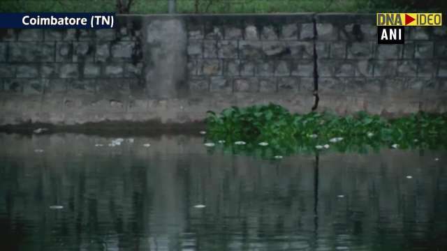 Several dead fish floating in Coimbatore’s Valankulam Lake, set off ...