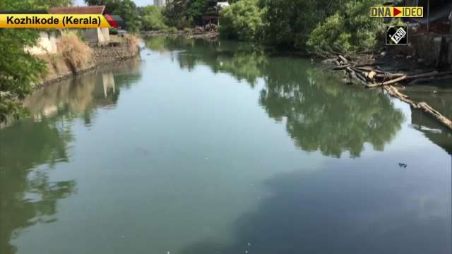 COVID-19: Water quality of Kerala’s Kallayi River improves due to lockdown