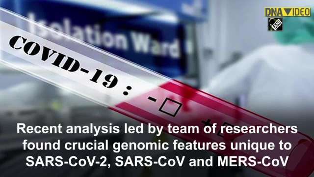 Researchers analyse genomic determinants of coronavirus pathogenicity Researchers analyse genomic determinants of coronavirus pathogenicity