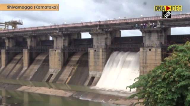 Watch: Four crest gates of Tunga dam opened in Karnataka