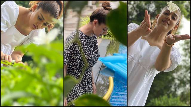 Vignesh Shivan News: Read Latest News and Live Updates on Vignesh ...