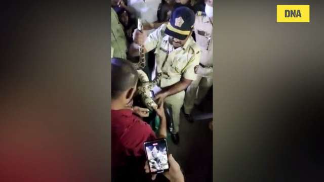 Mumbai cop captures python in Dharavi, check viral video