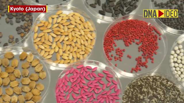 Japan’s Takii produces high yielding variety of seeds and seedlings