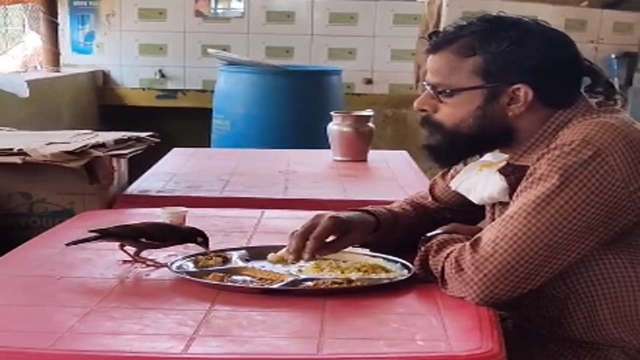 Bird eats food from the same plate with man, video goes VIRAL