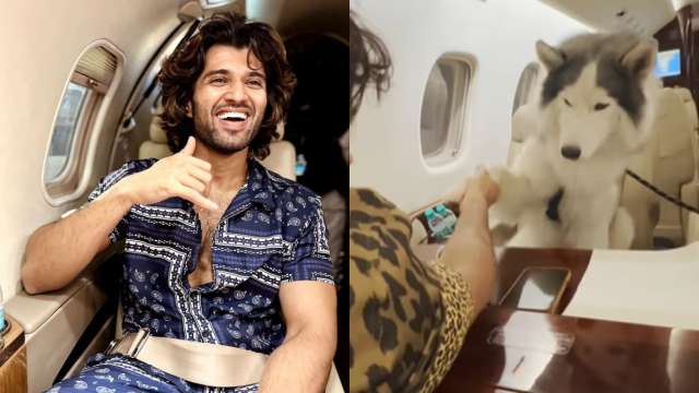 ‘Ye Arjun Reddy ka Kutta hai’: Vijay Deverakonda gives glimpse of his ...