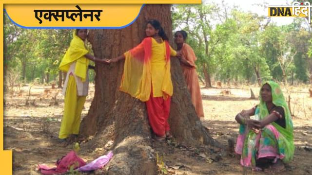 Hasdeo Arand: छत्तीसगढ़ में क्यों हो रहा है #HasdaoBachao आंदोलन? राहुल ...