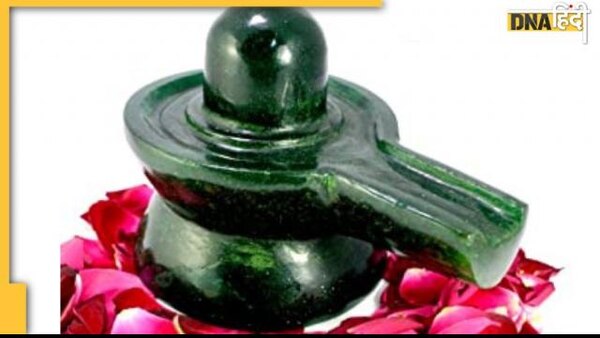 Rules Related to Shivling : घर में शिवलिंग की स्थापना से पहले जान लें ...