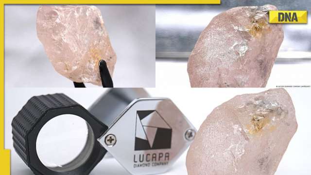 Lulo Rose: Largest pink diamond in 300 years discovered in Angola, see pics