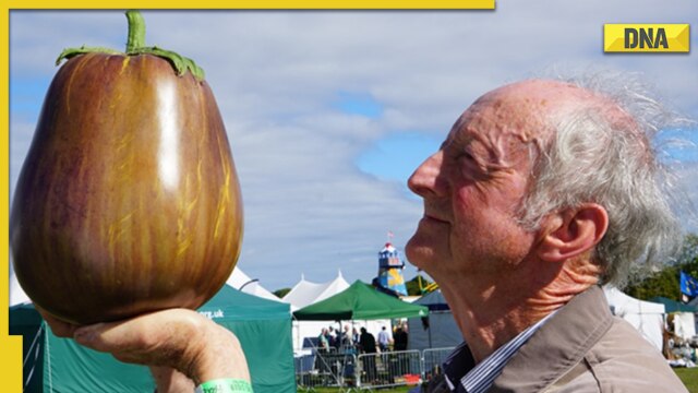 Here are 5 of the heaviest, fattest fruits ever grown