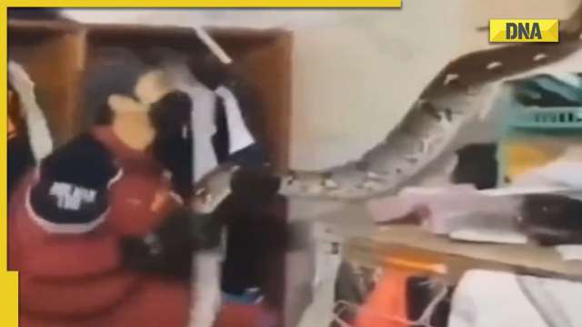 Watch: Giant snake tries to attack rescue worker, video goes viral