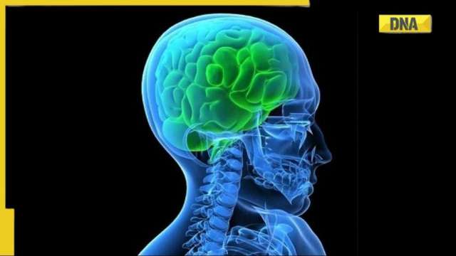 Mild traumatic brain damage raises the risk of behavioural and ...