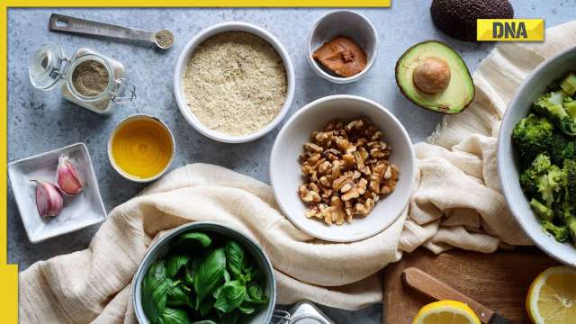 Healthy fats: 5 sources of good fat