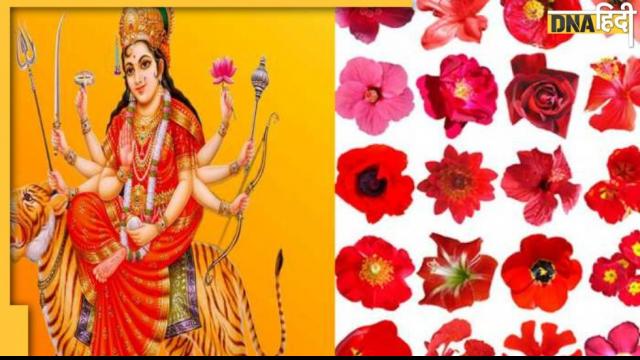 Navratri Flowers: देवी के नौ रूपों को पसंद हैं अलग-अलग पुष्प, हर रंग के ...