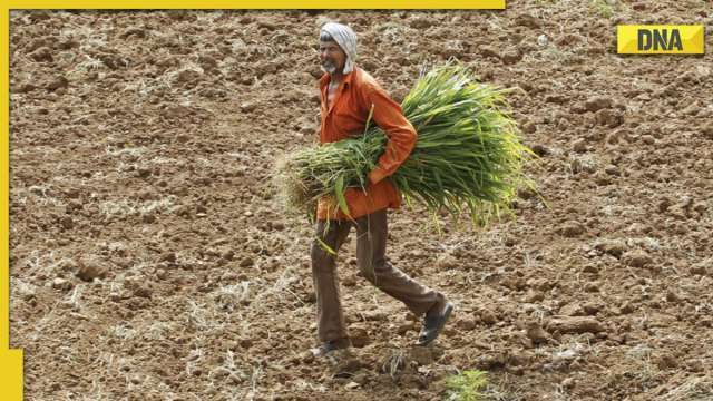 Fodder inflation at 9-year high amid delayed rainfall, crop damage: How ...