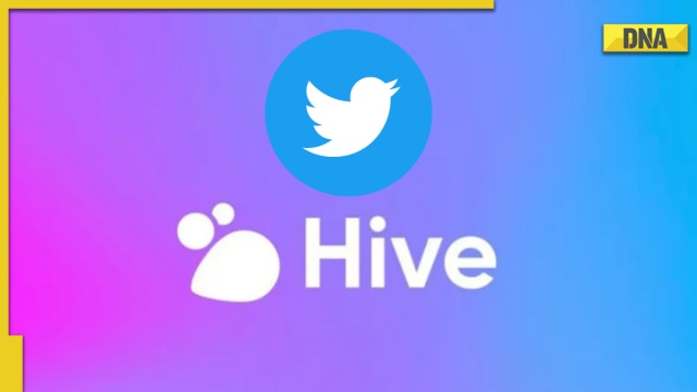 Social media platform Hive sees steep rise as Twitter users look for alternative