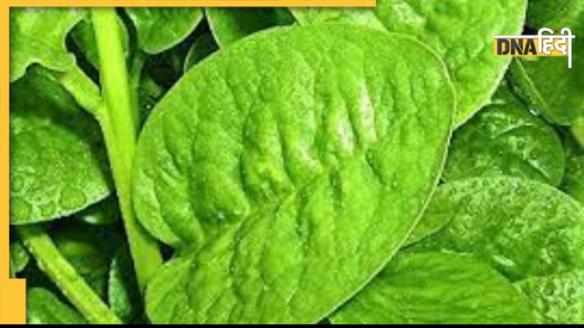 Pui Sag Benefits: सर्दियों में नसों की ब्लॉकेज खोल गंदा कोलेस्ट्रॉल ...