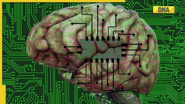 Mind-blowing study fuels BOLD idea: Our brains are quantum computers?