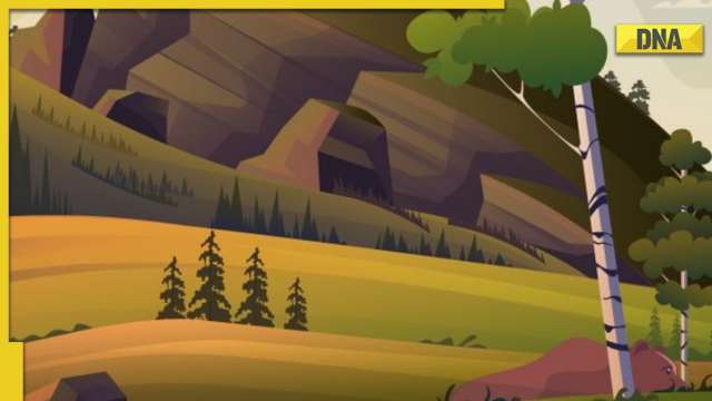Optical Illusion: Can you find bear hidden in this forest within 15 ...