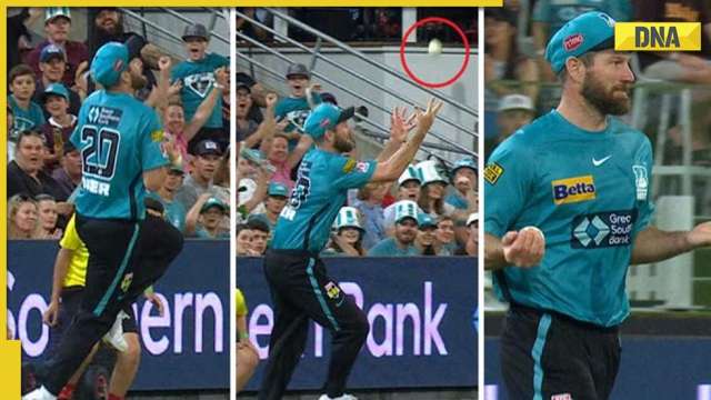 Michael Neser's stunning catch outside boundary ropes in BBL goes viral ... Michael Neser's stunning catch outside boundary ropes in BBL goes viral ...