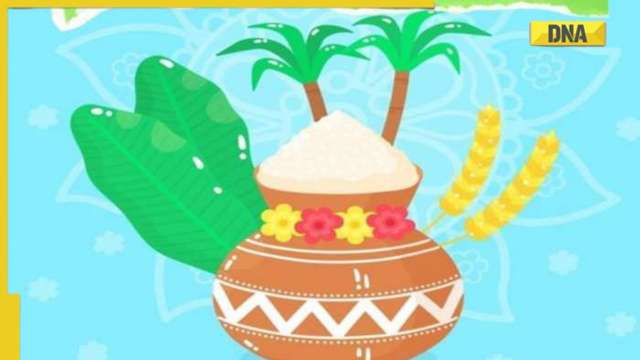 Pongal 2023: Date and significance of the auspicious festival Pongal 2023: Date and significance of the auspicious festival
